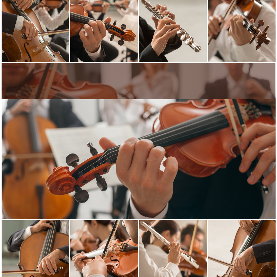 Harmony in the Orchestra of Life! - New Acropolis Library